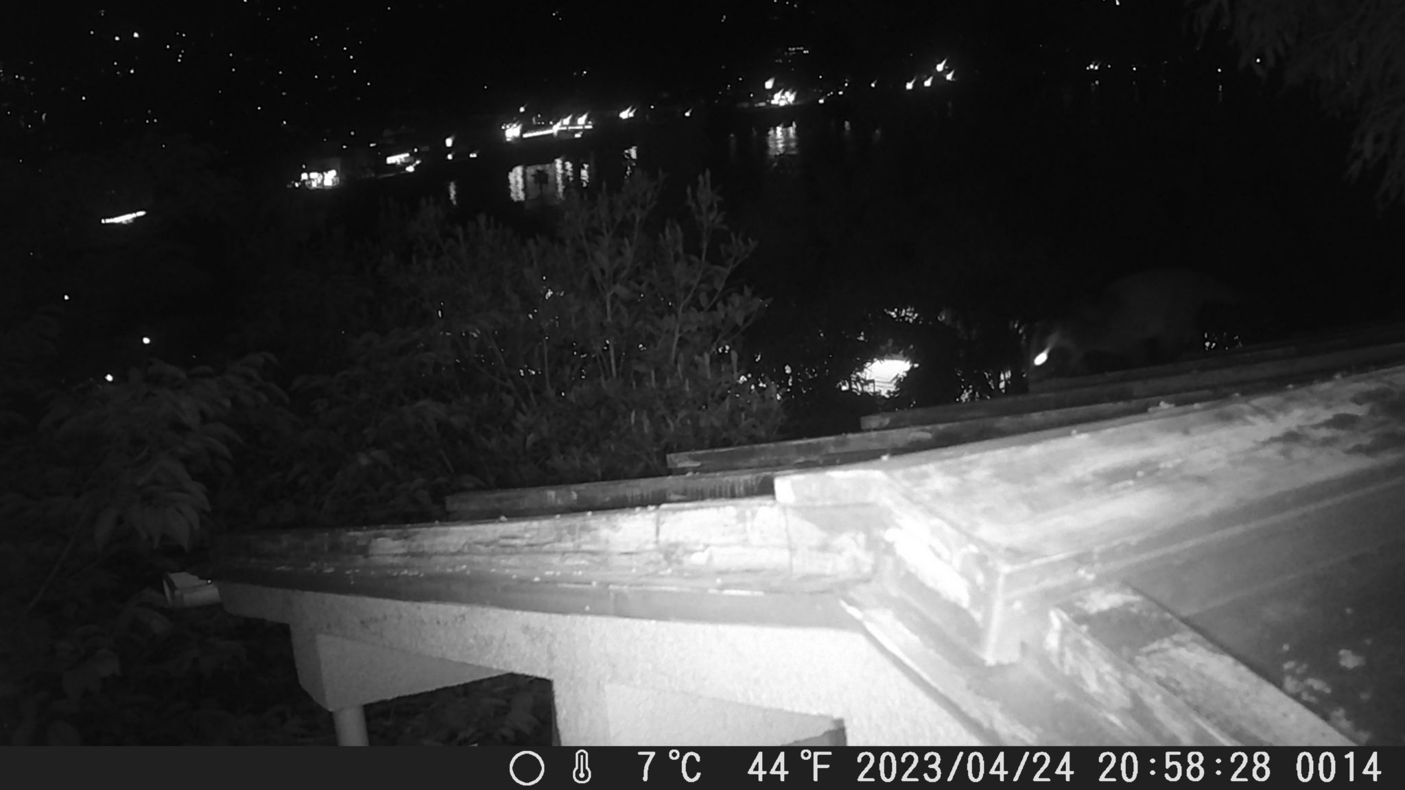 アーチャーレポート | アーチェリー総合情報サイト